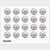 CRB - Polar Bear Sticker | Zazzle