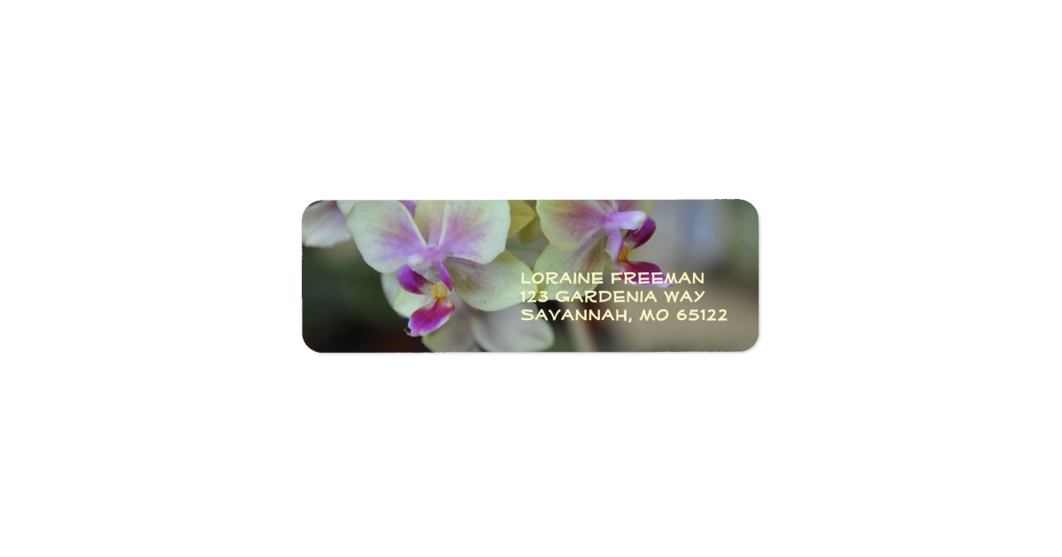 Cream and PInk Orchid Label | Zazzle