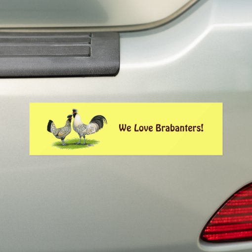 Cream Brabanter Chickens Bumper Sticker | Zazzle