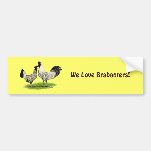 Cream Brabanter Chickens Bumper Sticker | Zazzle