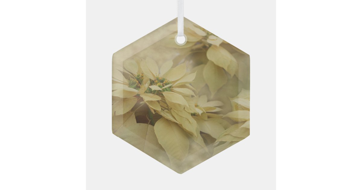Cream Colored Poinsettias Digital Art Glass Glass Ornament | Zazzle