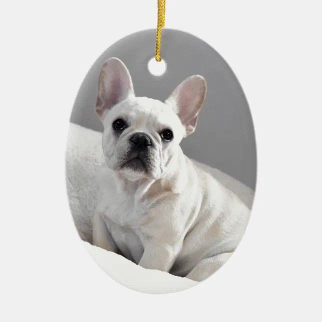 Cream Frenchie Ceramic Ornament | Zazzle