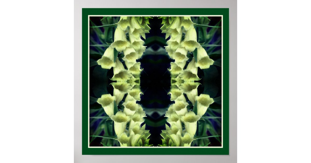 Creamy Foxglove Flowers Abstract Poster | Zazzle