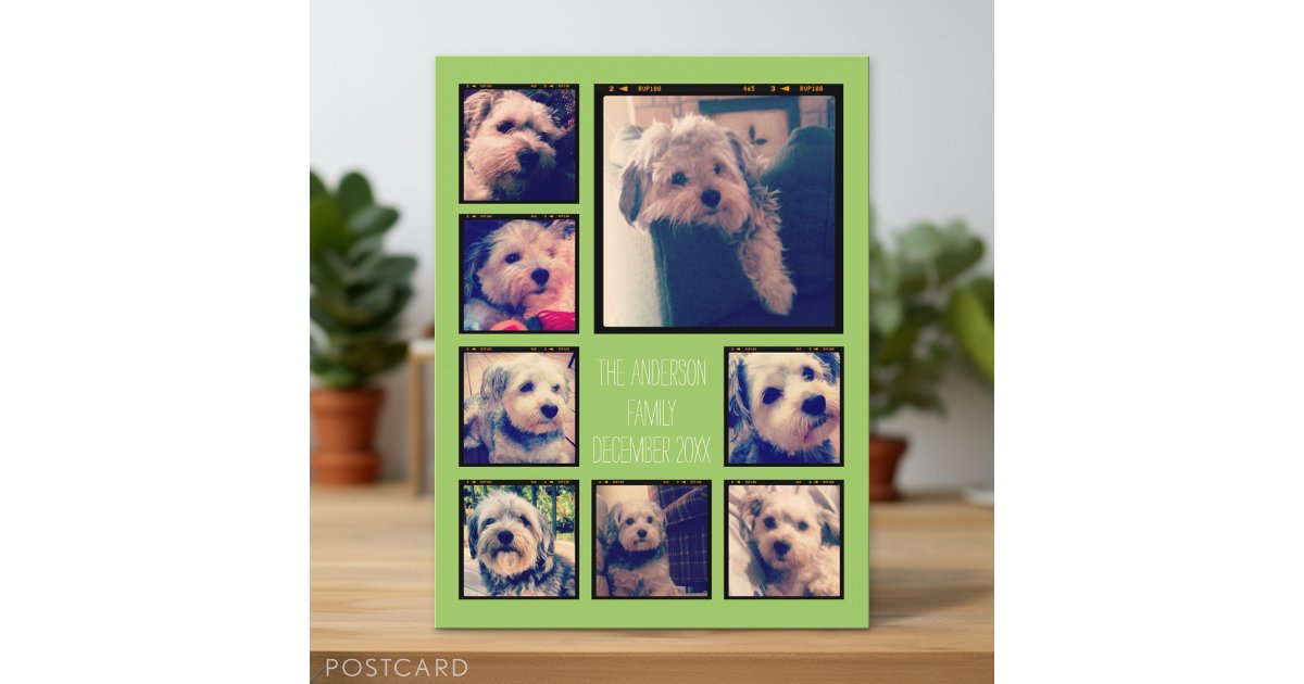 Create a Custom Photo Collage with 8 Photos Postcard | Zazzle