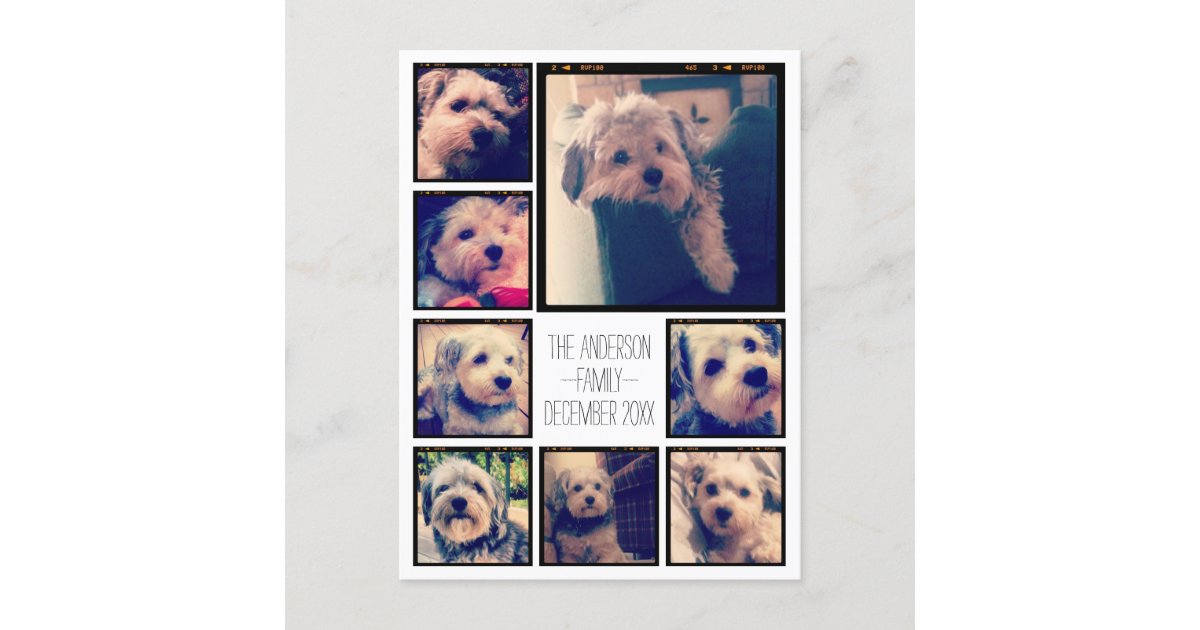 Create a Custom Photo Collage with 8 Photos Postcard | Zazzle
