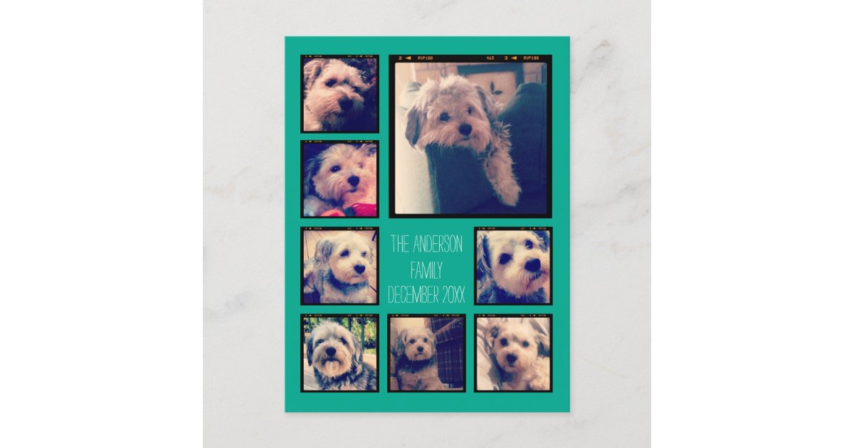 Create a Custom Photo Collage with 8 Photos Postcard | Zazzle
