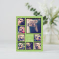 Create a Custom Photo Collage with 8 Photos Postcard | Zazzle