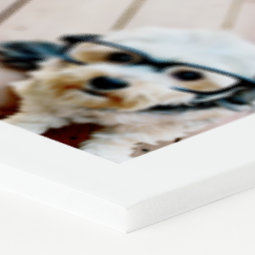 Create a Funky Photo Collage with 33 Photos Foam Board | Zazzle