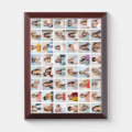 Create Your Own 48 Photo Collage Edit Color Plaque | Zazzle