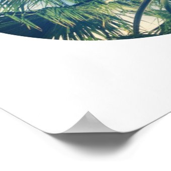 Create Your Own Circle Shape Photo Poster | Zazzle