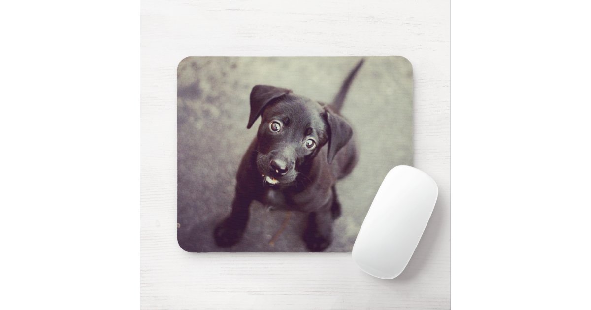 Create Your Own Custom Instagram Photo Mousepad | Zazzle