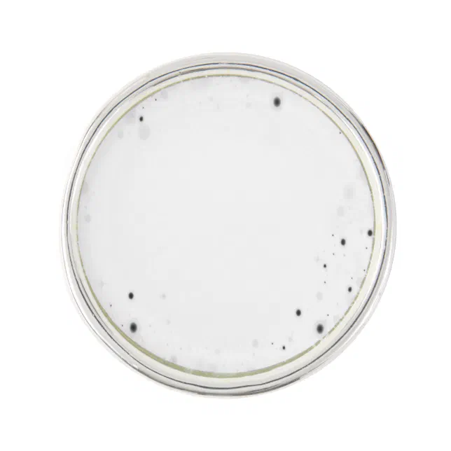 Create Your Own Custom Personalized Lapel Pin | Zazzle