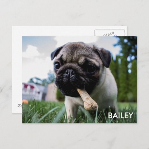 Create Your Own Custom Photo Postcard | Zazzle