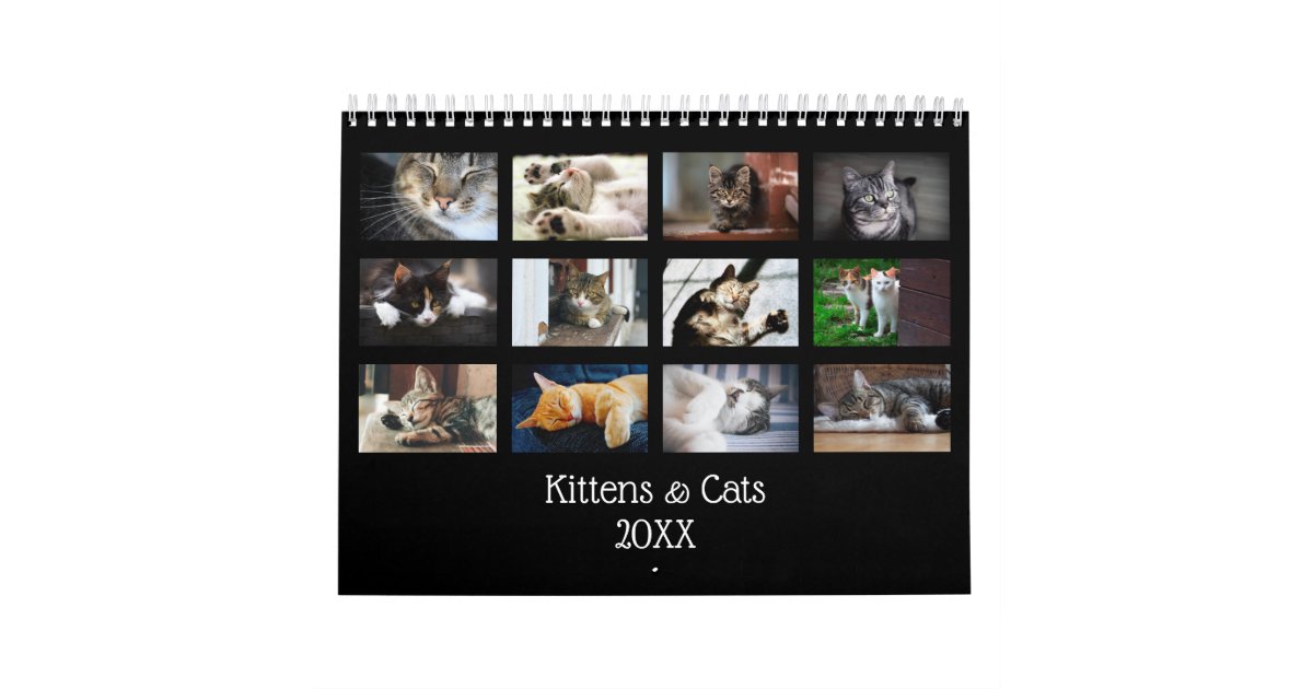 create-your-own-cute-black-cover-2023-pet-photo-calendar-zazzle
