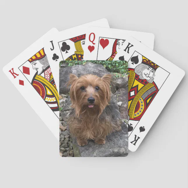 Create Your Own Dog Photo Custom Pet Poker Cards | Zazzle