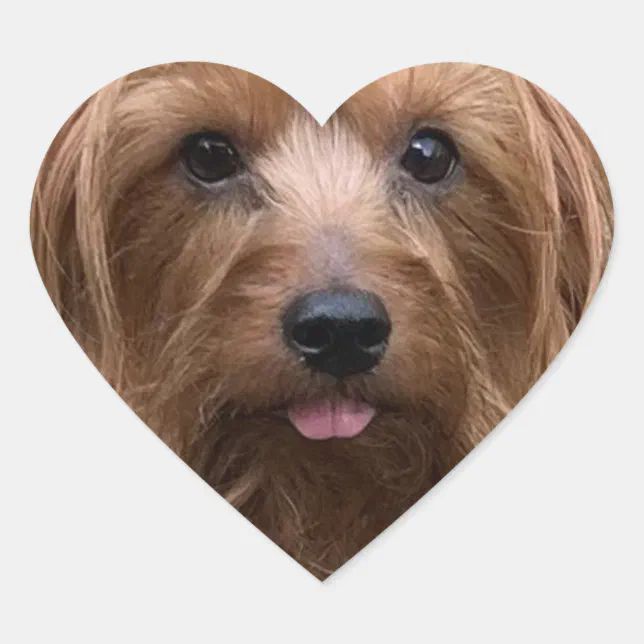 Create Your Own Dog Photo Custom Pet Puppy Heart Sticker | Zazzle