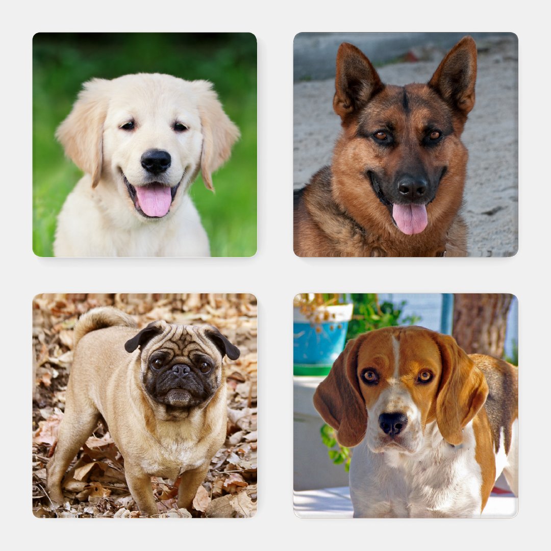 Create your own family pet photos coaster set | Zazzle