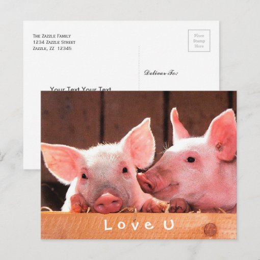 Create Your Own Funny Photo Love You Custom Postcard | Zazzle