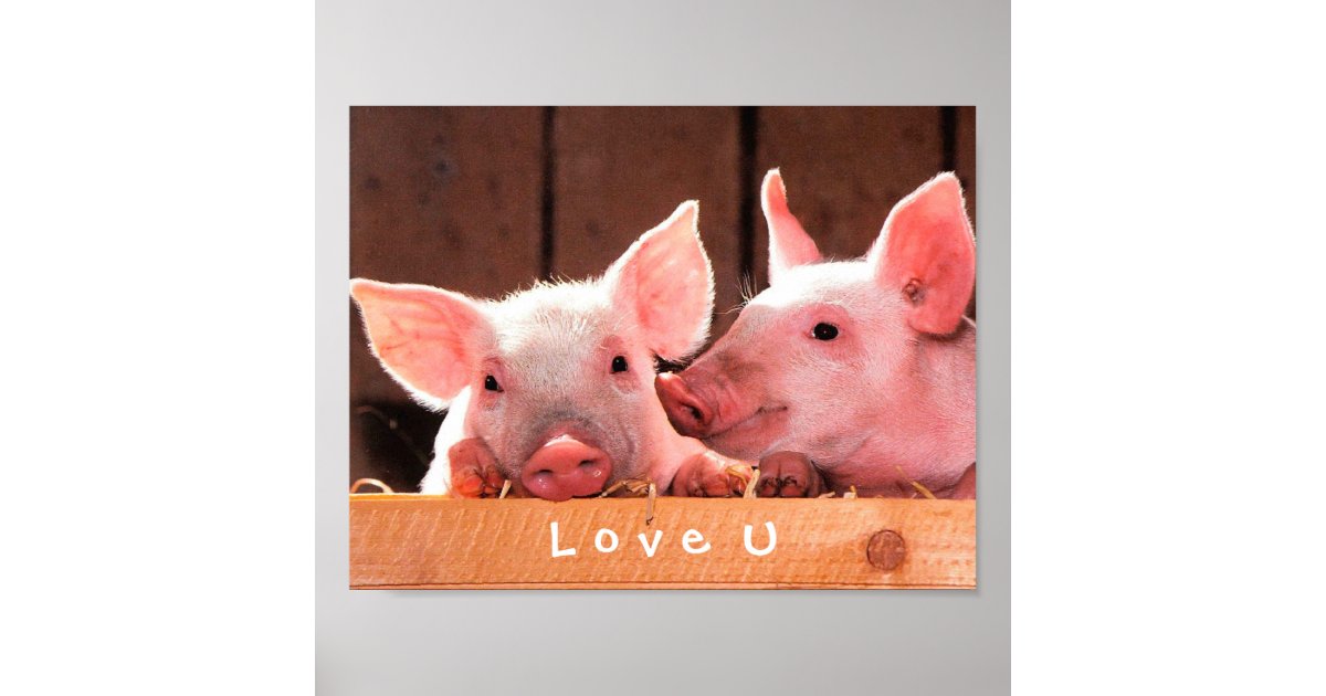 Create Your Own Funny Photo Love You Custom Poster | Zazzle