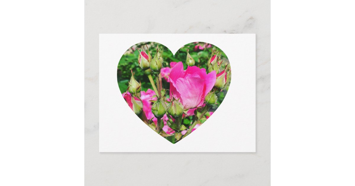 Create Your Own Heart Shape Photo Postcard | Zazzle