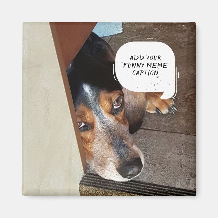 Create Your Own Meme Custom Funny Photo Magnet | Zazzle.com