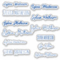 Create Your Own Modern Stylish Name Sticker | Zazzle