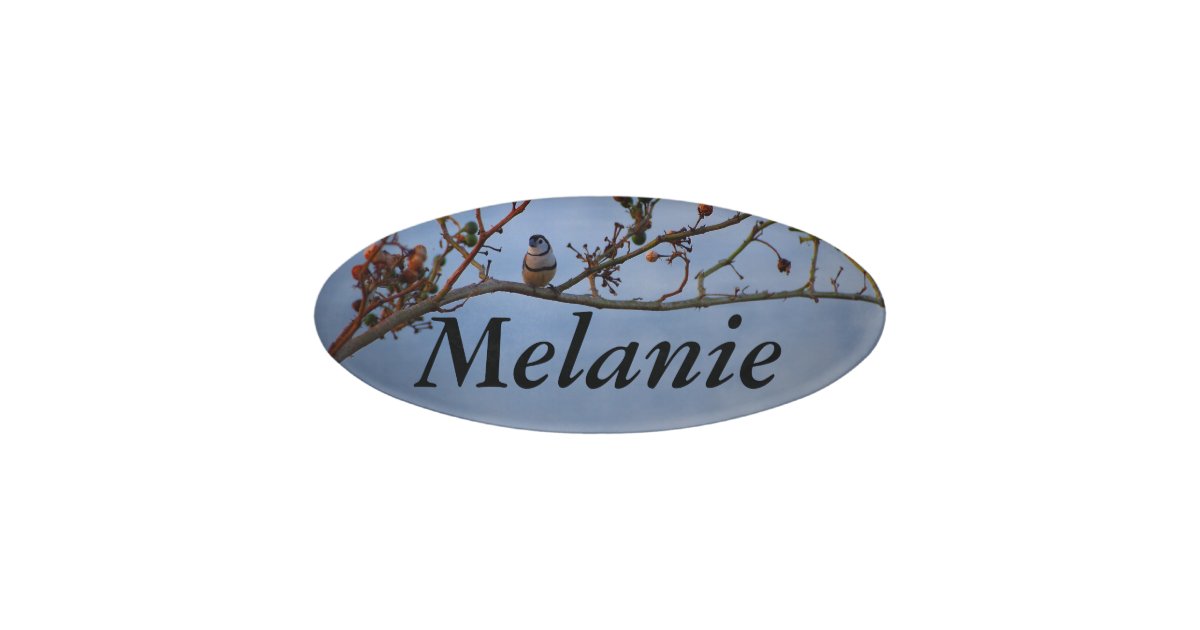 Create your own name tag | Zazzle