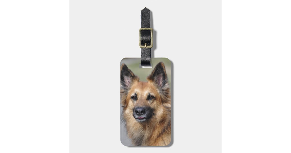 Create your own pet photo luggage tag | Zazzle