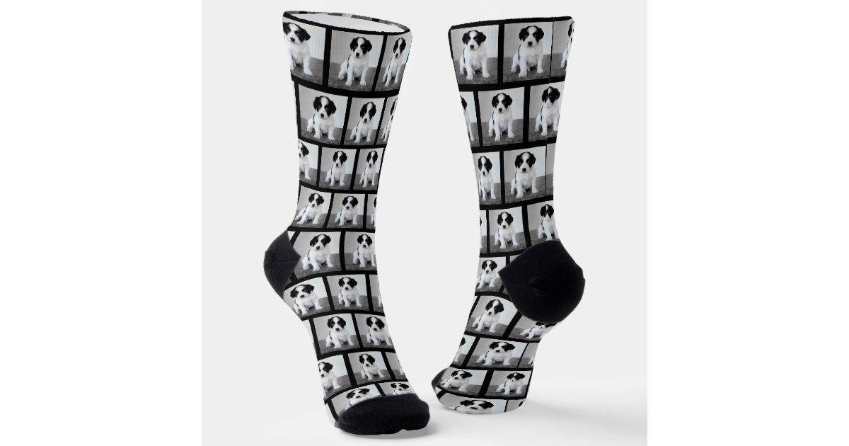 Create Your Own Pet Photo Pattern Black Border Socks | Zazzle