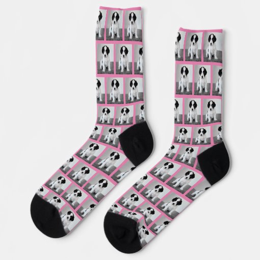 Create Your Own Pet Photo Pattern Pink Border Socks | Zazzle