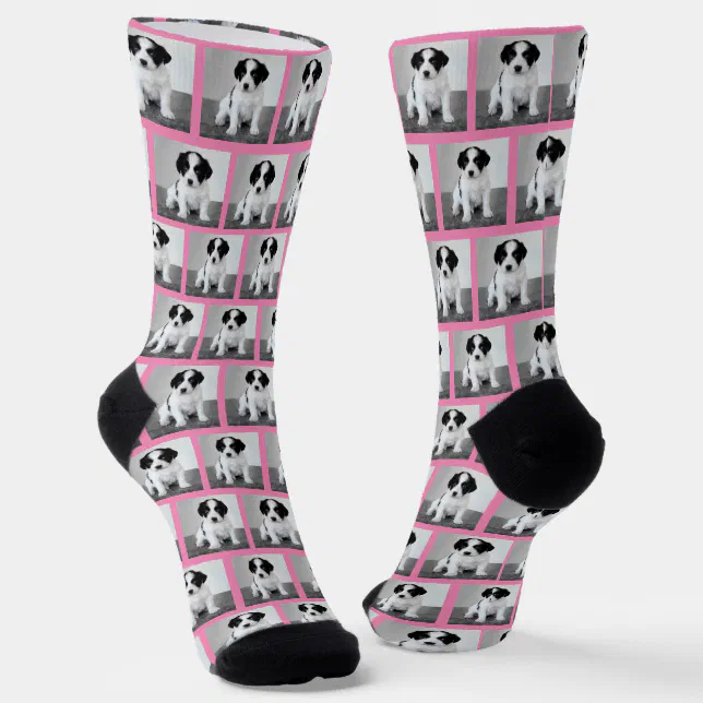 Create Your Own Pet Photo Pattern Pink Border Socks | Zazzle