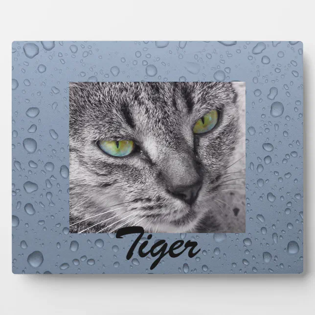 Create your own pet photo plaque | Zazzle