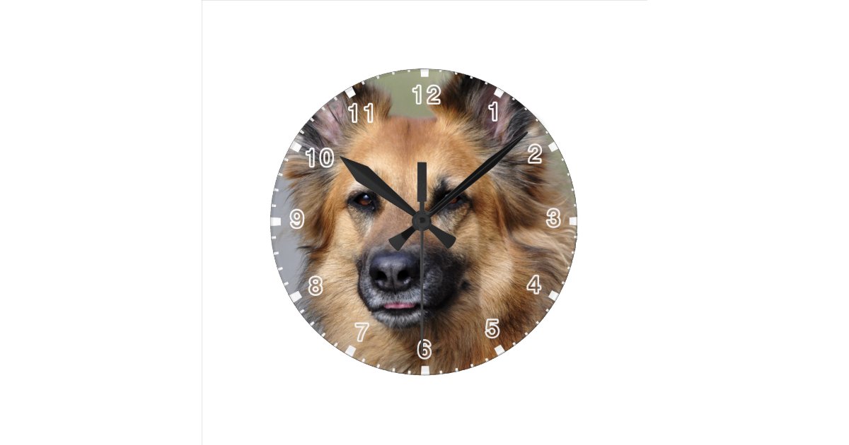 Create your own pet photo round clock | Zazzle.com