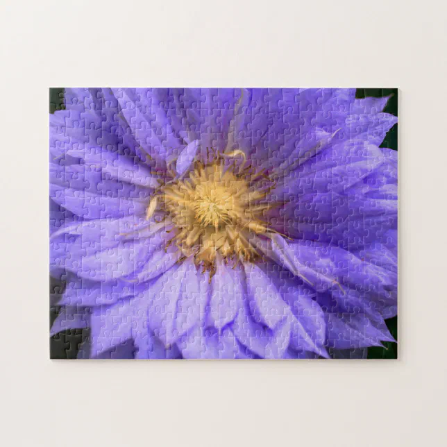 Create Your Own Pretty Dahlia Flower Jigsaw Puzzle | Zazzle