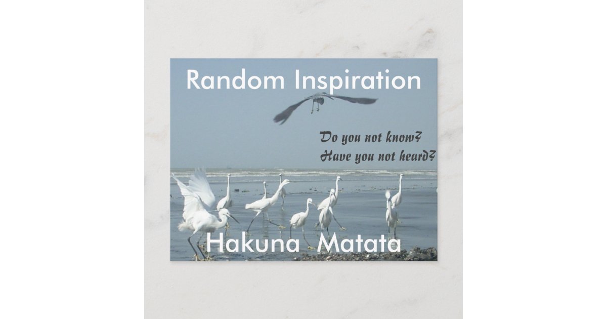 Create Your Own Random Inspiration Customize Postcard | Zazzle