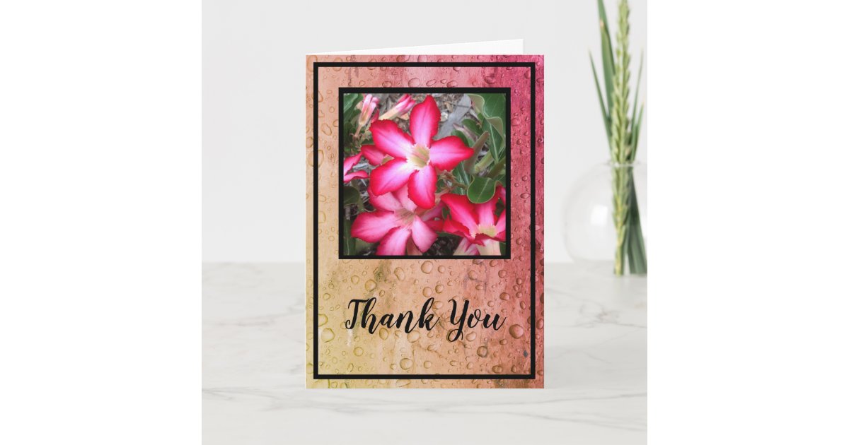 Create Your Own Thank You Card Zazzle