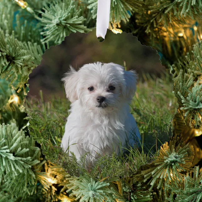 Create Your Own Two-sided Dog Photos Ornament Card | Zazzle