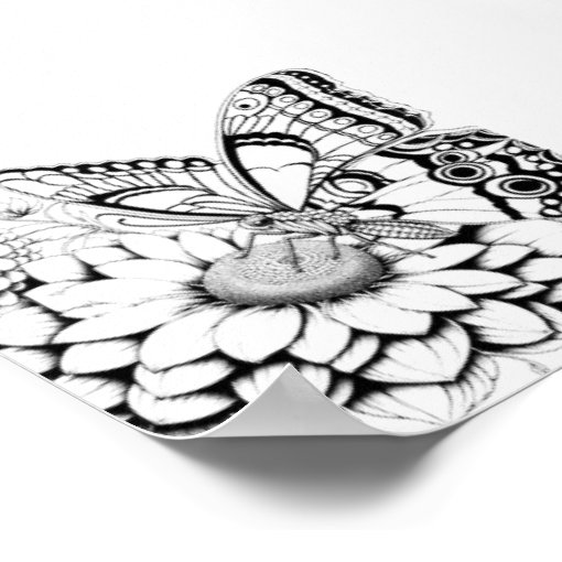 Creative Butterfly Color Page Poster | Zazzle