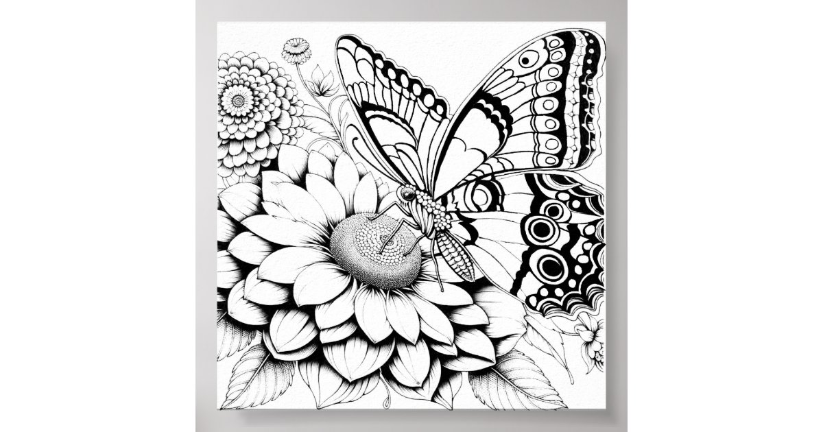 Creative Butterfly Color Page Poster | Zazzle
