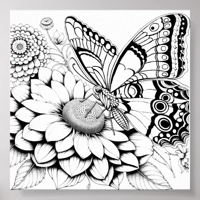 Creative Butterfly Color Page Poster | Zazzle