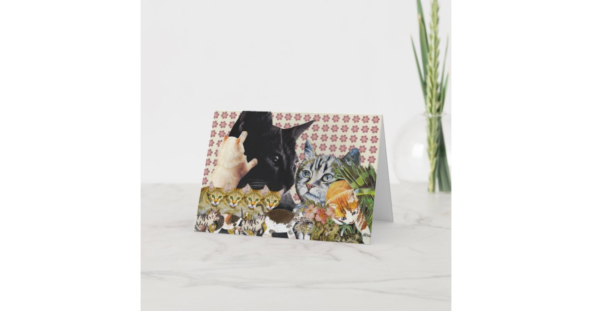 Creative Cats Greeting Card | Zazzle