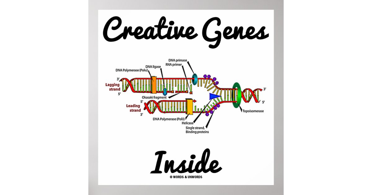 Creative Genes Inside (DNA Replication) Poster | Zazzle