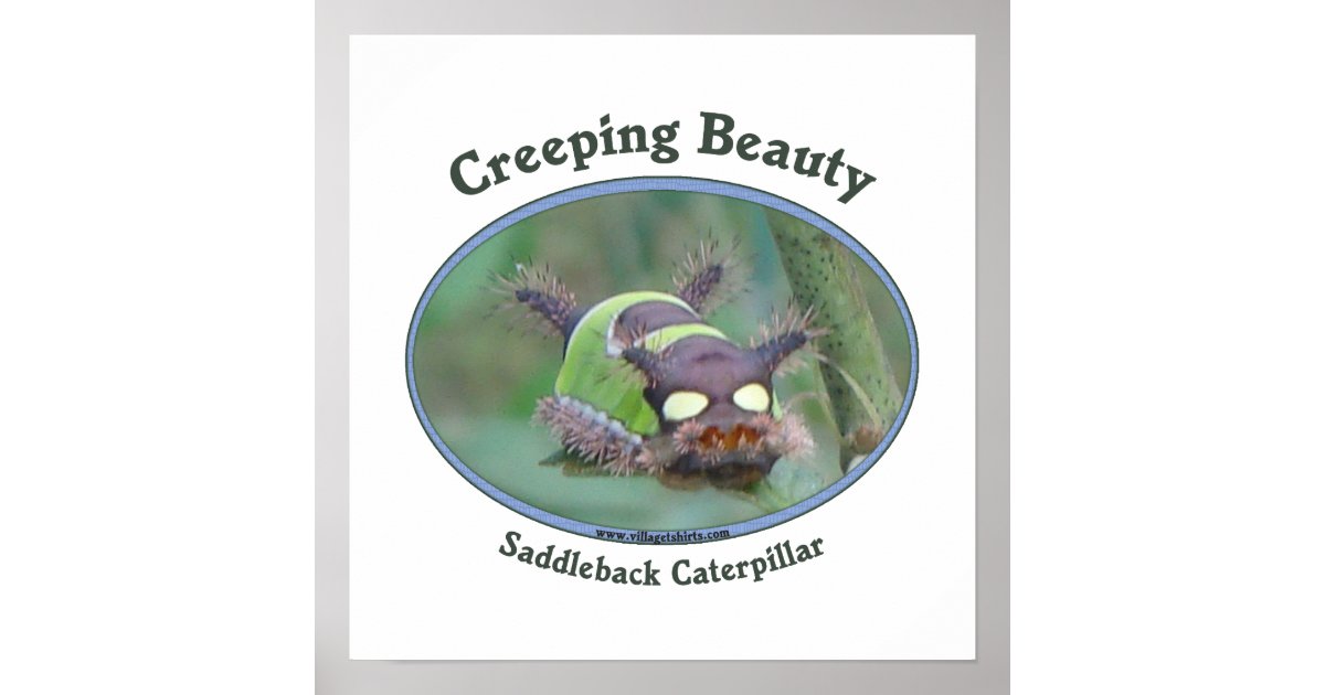 Creeping Beauty Poster | Zazzle