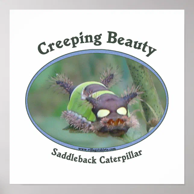 Creeping Beauty Poster | Zazzle