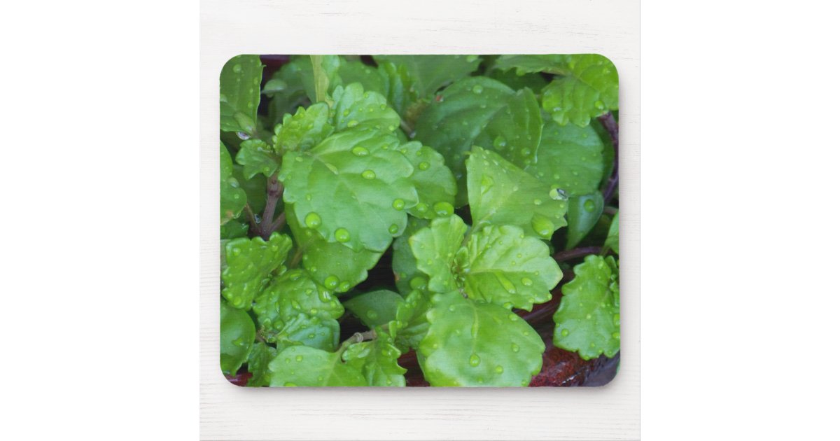 Creeping Charlie Mouse Pad | Zazzle