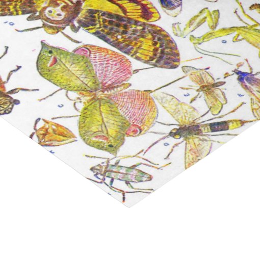 Creepy Crawlies Insect Tissue Paper | Biology | Zazzle