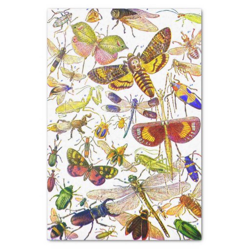 Creepy Crawlies Insect Tissue Paper | Biology | Zazzle