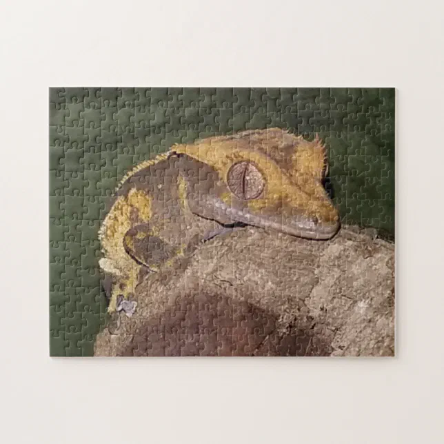 Crested Gecko Puzzle | Zazzle
