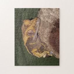 Crested Gecko Puzzle | Zazzle