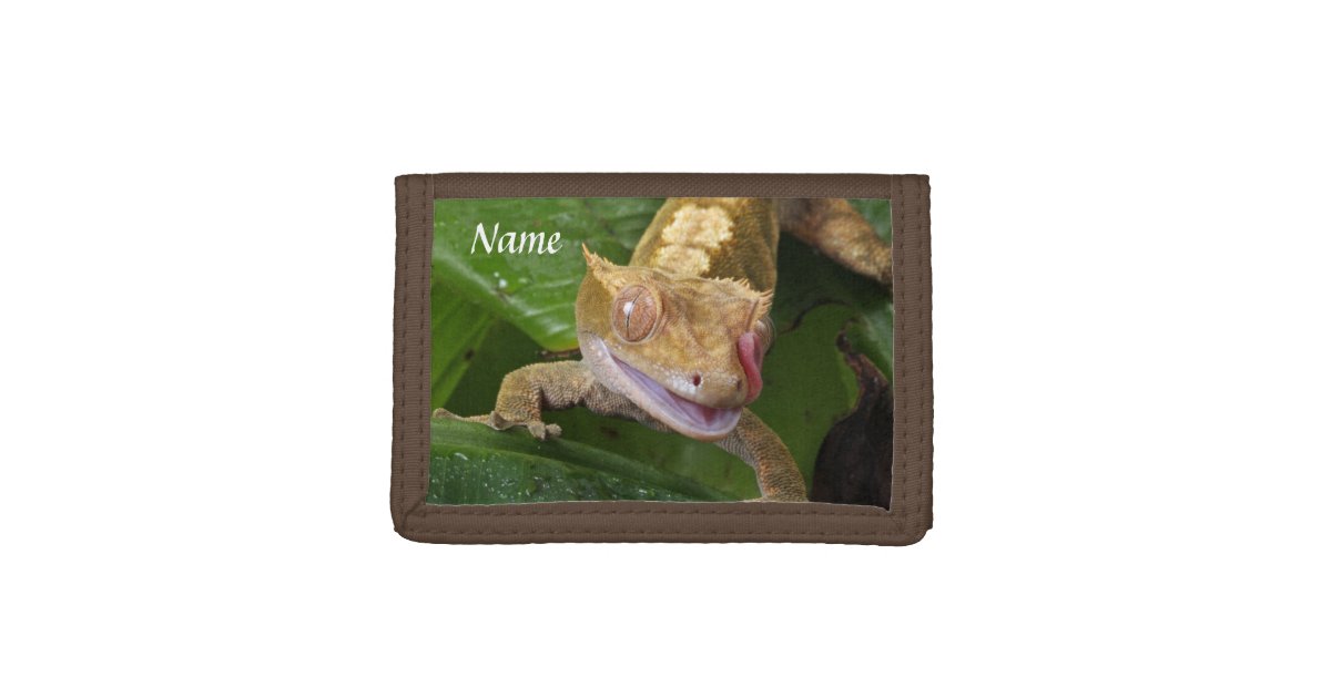 Crested Gecko Trifold Wallet | Zazzle